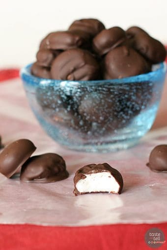 Homemade Junior Mints - Taste and Tell