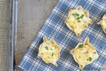 Cheesy Corn Bites - Taste and Tell