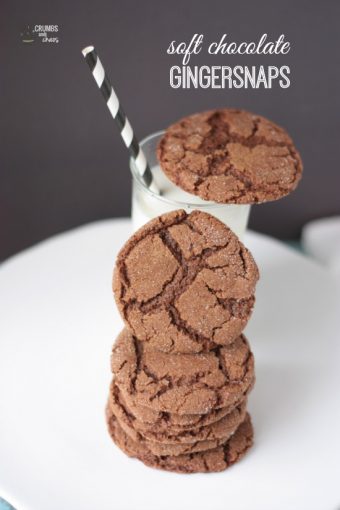 Soft Chocolate Gingersnaps - Taste and Tell