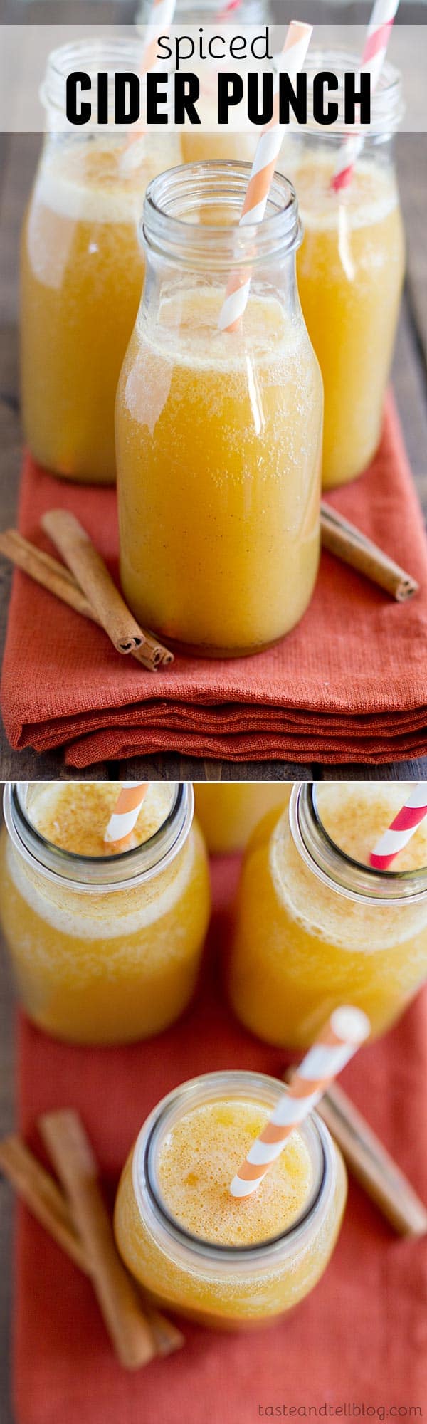 Spiced Cider Punch - Taste and Tell