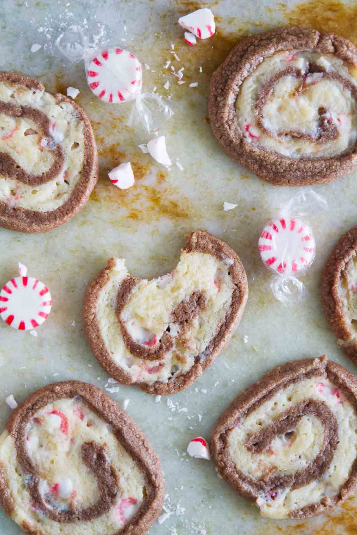 Chocolate Peppermint Pinwheel Cookies - Taste and Tell