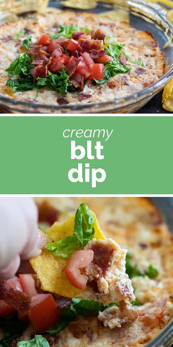 BLT Dip Recipe - Hot and Delicious! - Taste and Tell