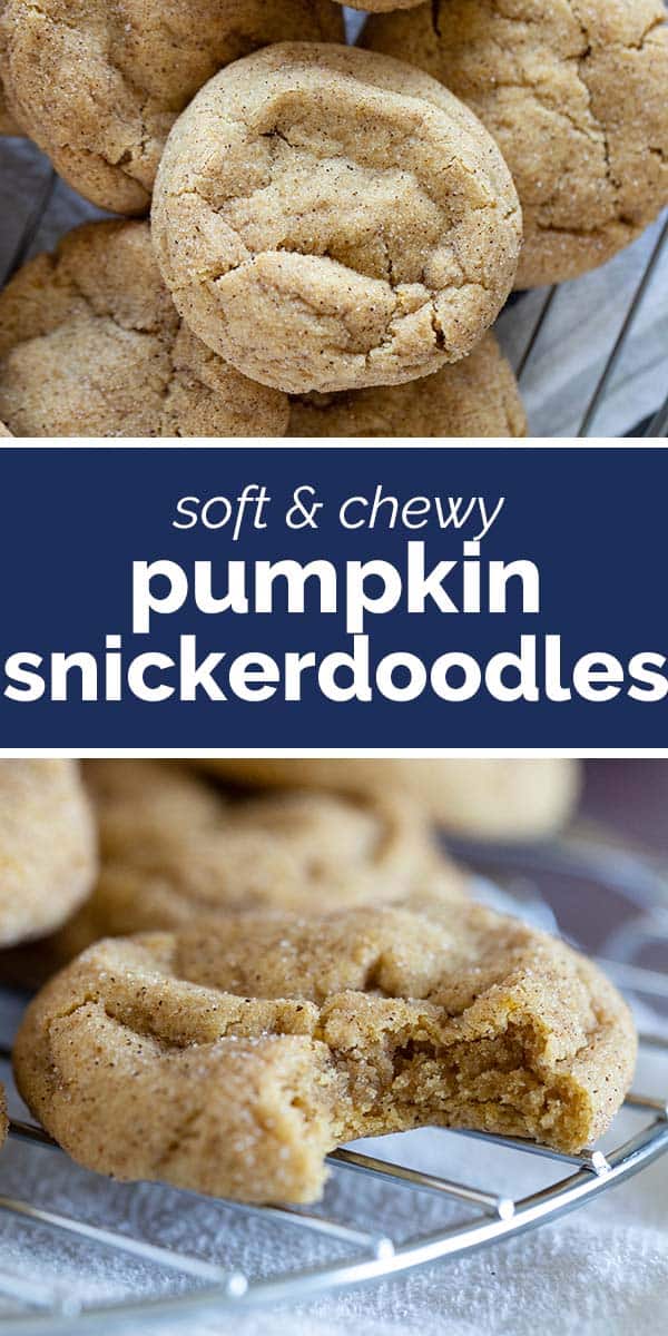 Pumpkin Snickerdoodles - Taste and Tell