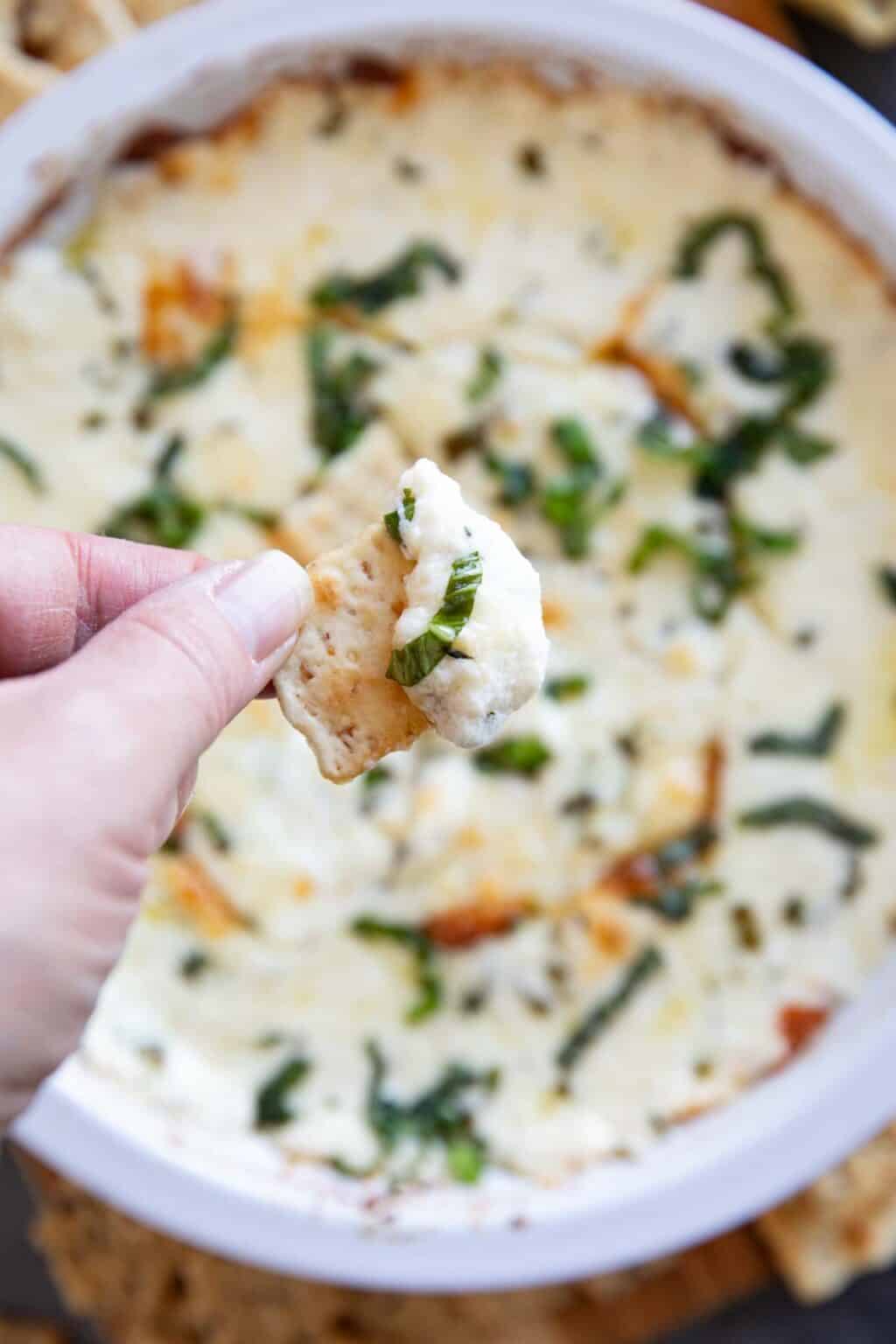 White Cheese Dip - Taste and Tell