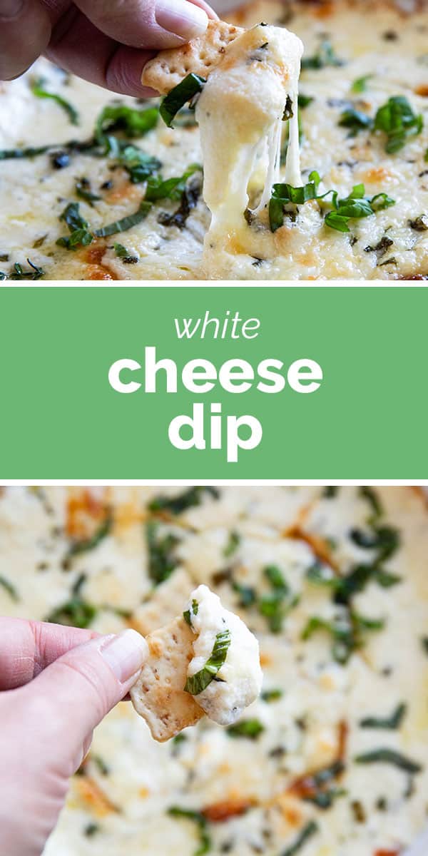 White Cheese Dip - Taste and Tell