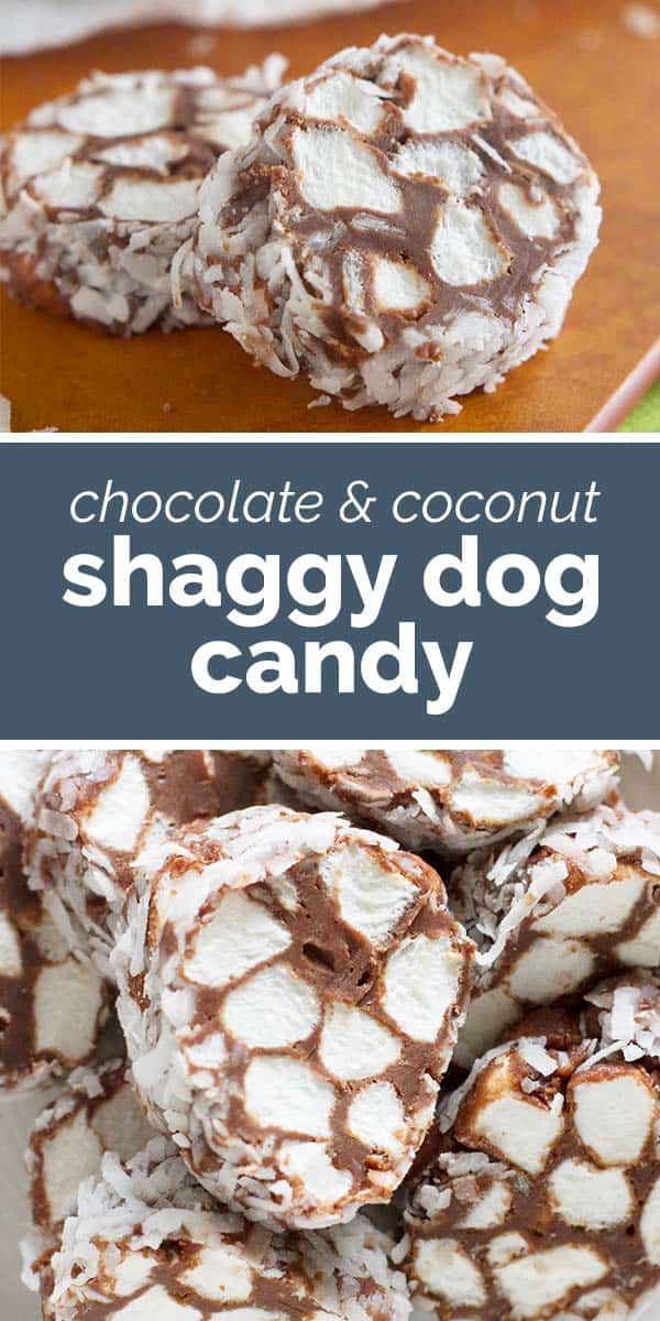 Shaggy Dog Candy Recipe - Taste and Tell