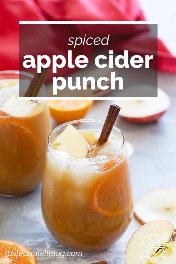 Chilled Apple Cider Punch - Taste and Tell